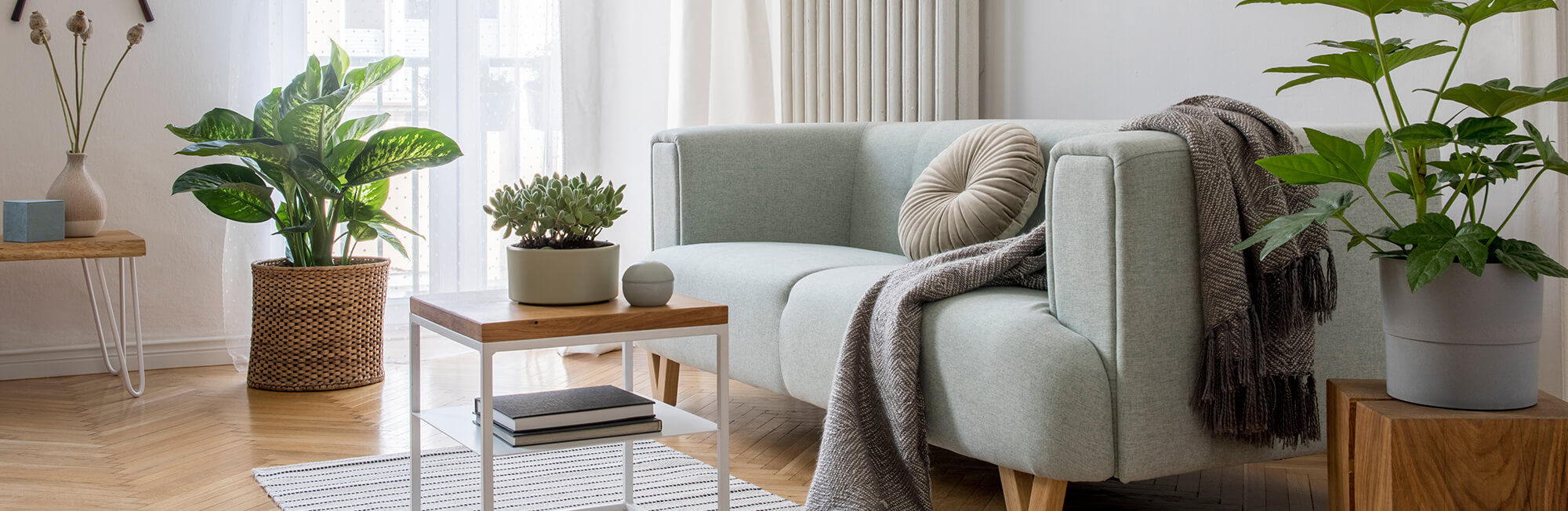 Thinking of buying a holiday let? | David Burr