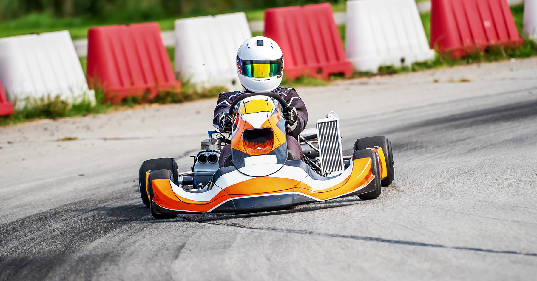 WildTracks Outdoor Activity Park | David Burr