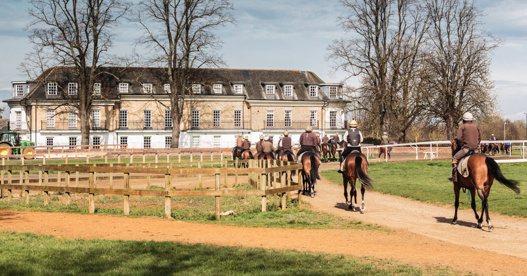 National Horse Racing Museum | David Burr
