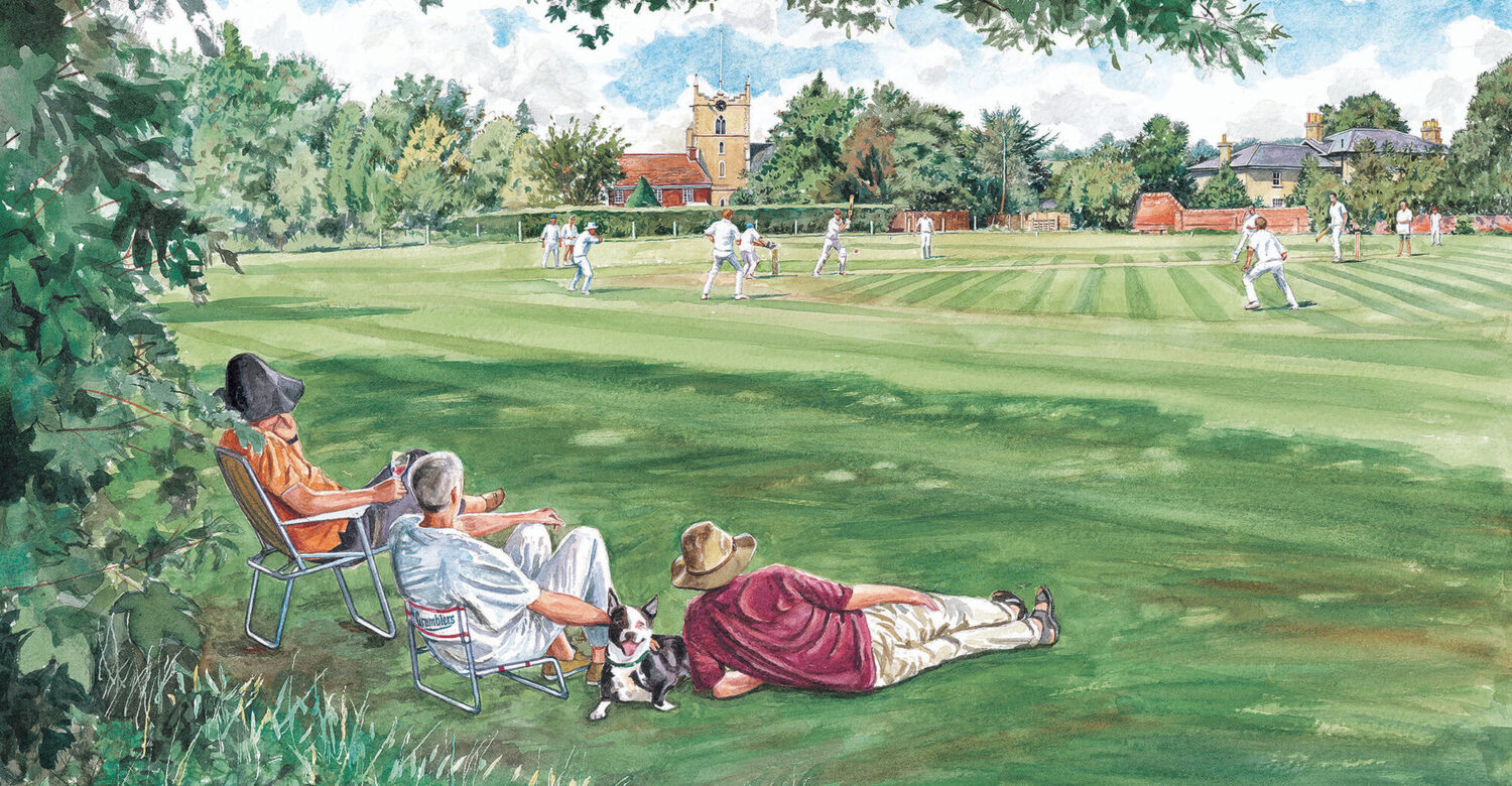 Howzat for village cricket perfection? | David Burr