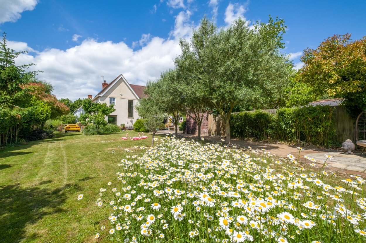 Offton, Ipswich | David Burr Estate Agents