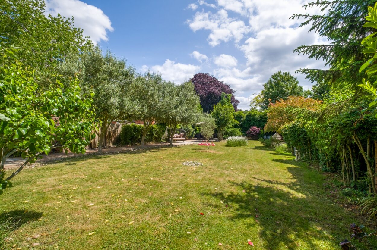 Offton, Ipswich | David Burr Estate Agents