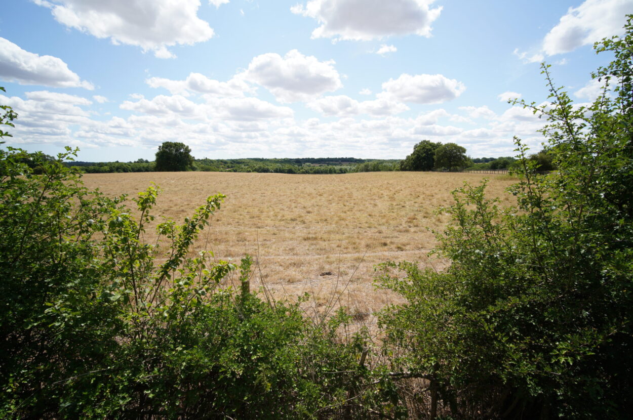 Lamb Lane, Sible Hedingham, Essex | David Burr Estate Agents